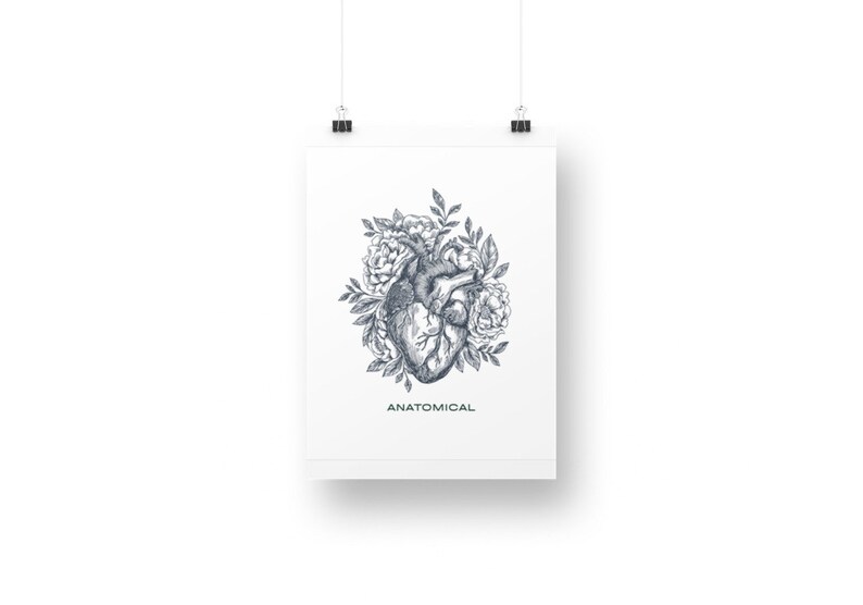 Heart Anatomy Art, Digital Download, Anatomy Poster, Neutral Wall Art ...