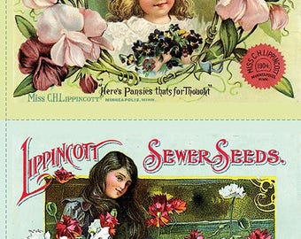 Seed Catalog Patch Panel, Sewing Seeds III by J Wecker Frisch for Riley ...