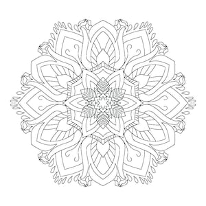 14 Mandala for ADULTS, Coloring Pages Pdf, Digital Download - Etsy