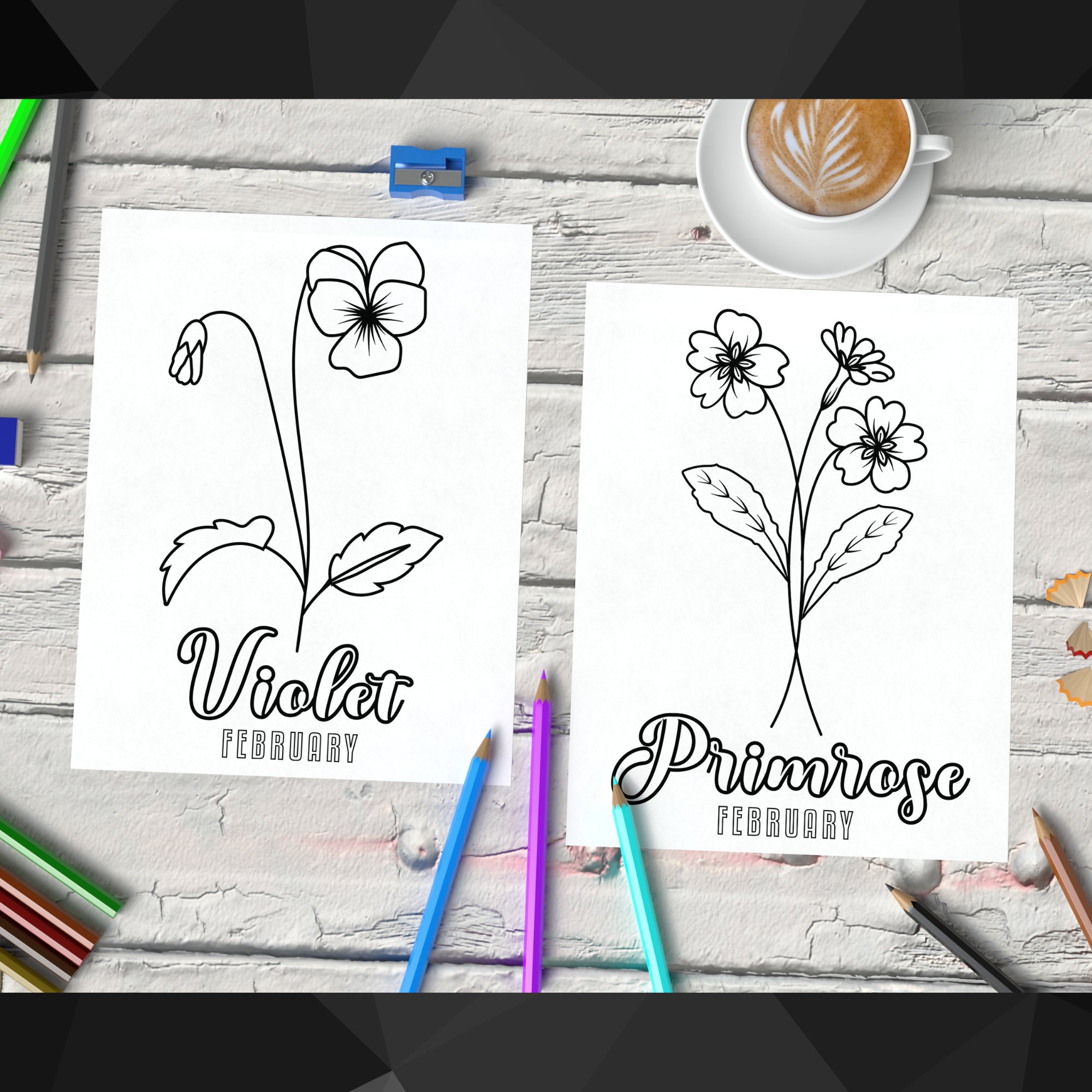 Birth Month Flower Coloring Pages 24 Pages Birth Month - Etsy