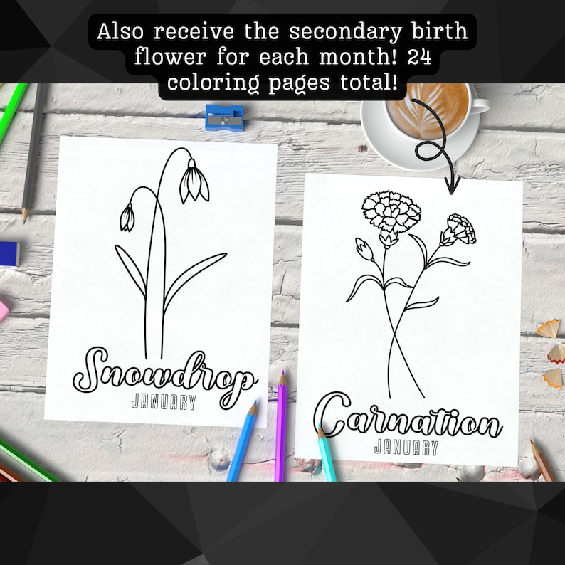 Birth Month Flower Coloring Pages 24 Pages Birth Month - Etsy