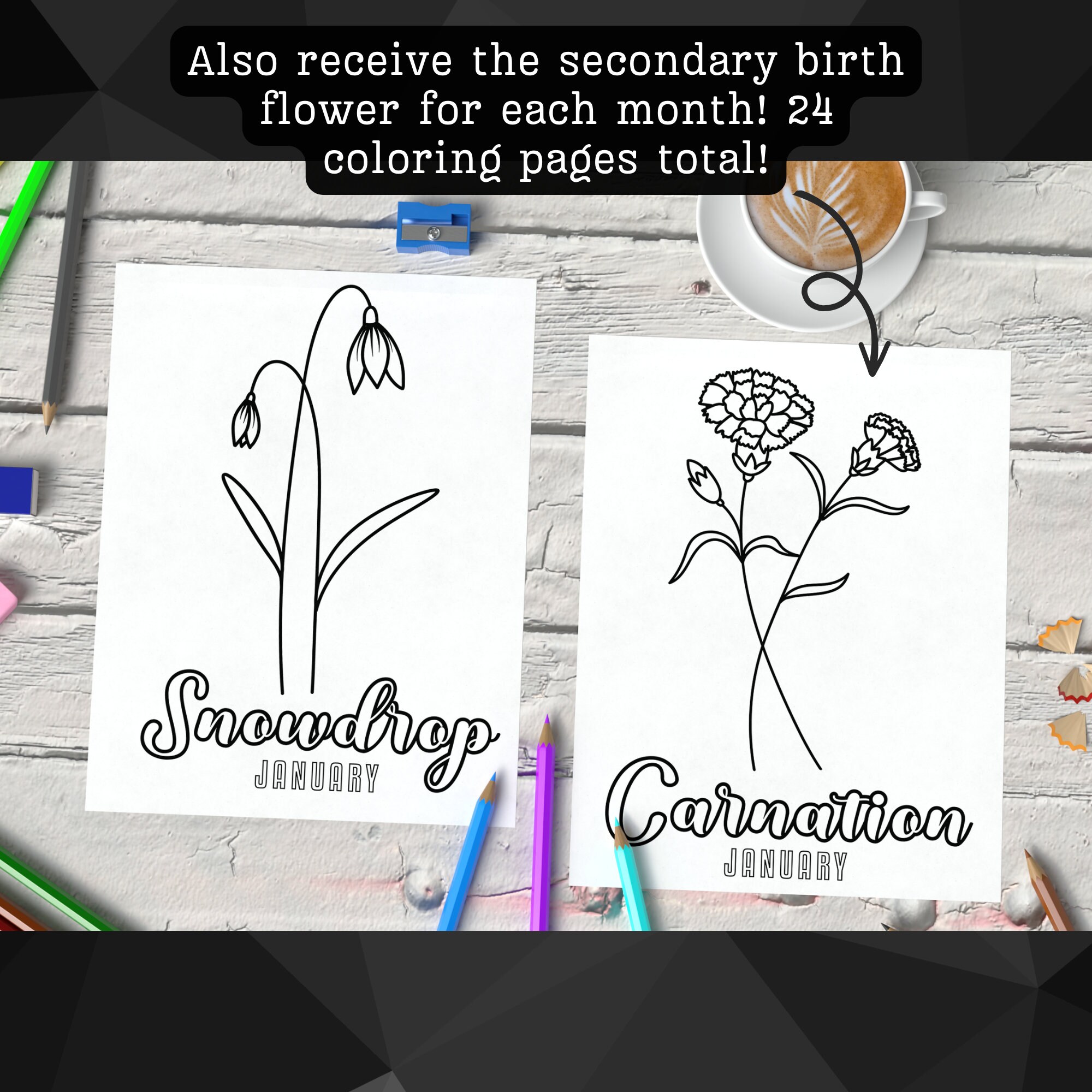 Birth Month Flower Coloring Pages 24 Pages Birth Month - Etsy