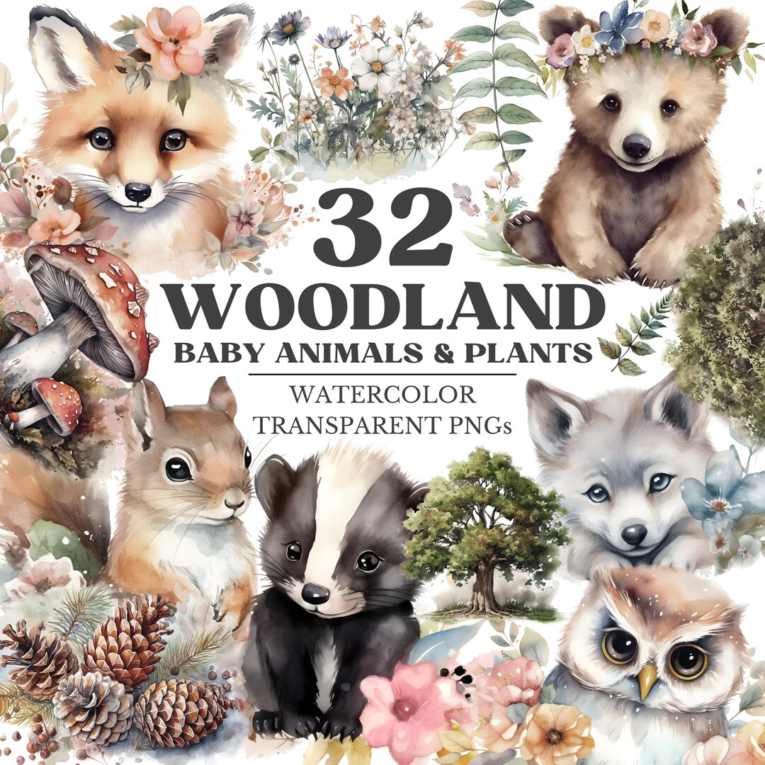 Woodland Animals Watercolor Clipart, Nursery Woodland, Baby Animals Png ...