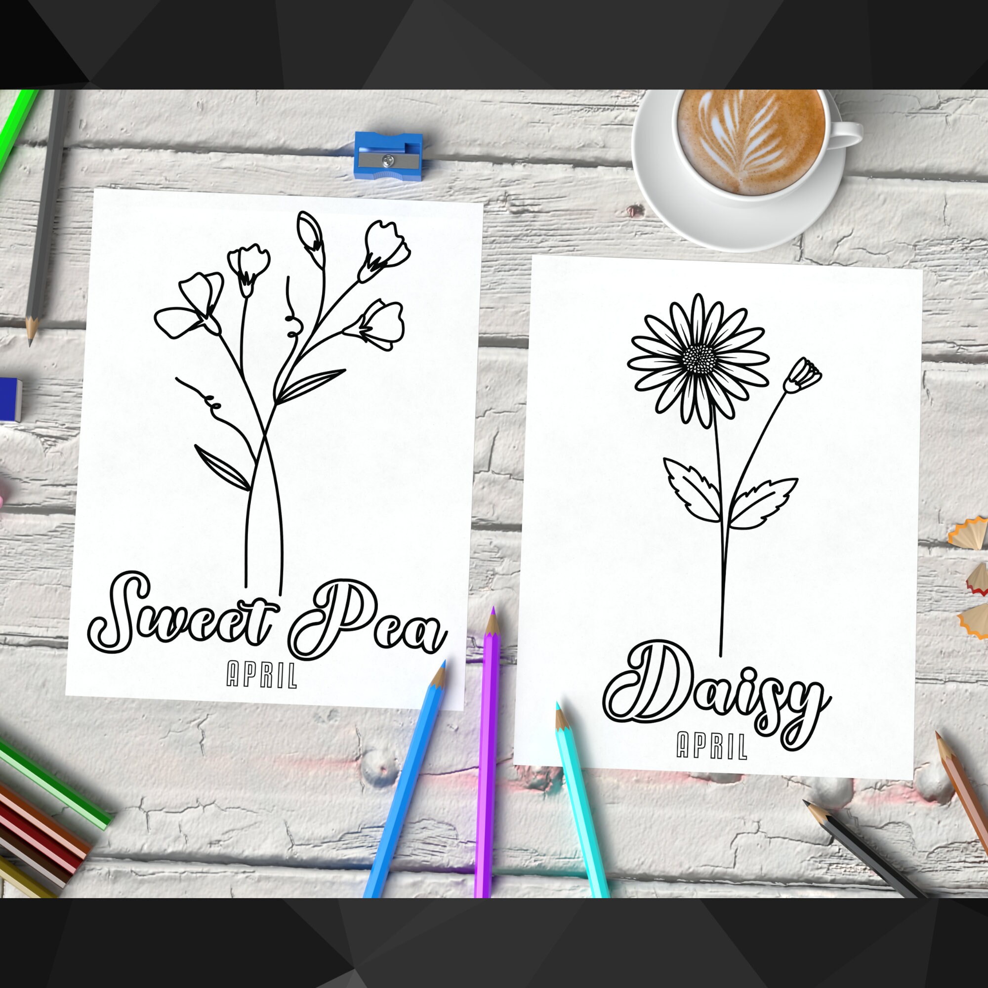 Birth Month Flower Coloring Pages 24 Pages Birth Month - Etsy