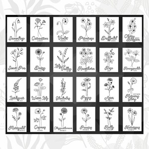 Birth Month Flower Coloring Pages, 24 Pages, Birth Month Flowers ...