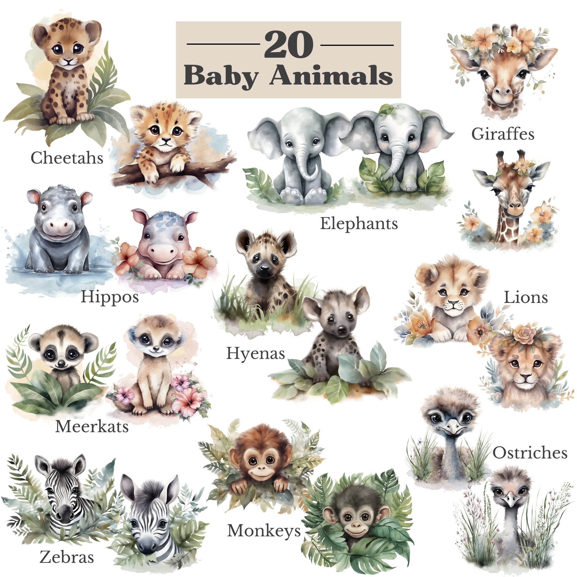 Safari Watercolor Clipart Bundle, Cute Baby Safari Watercolor Animals ...