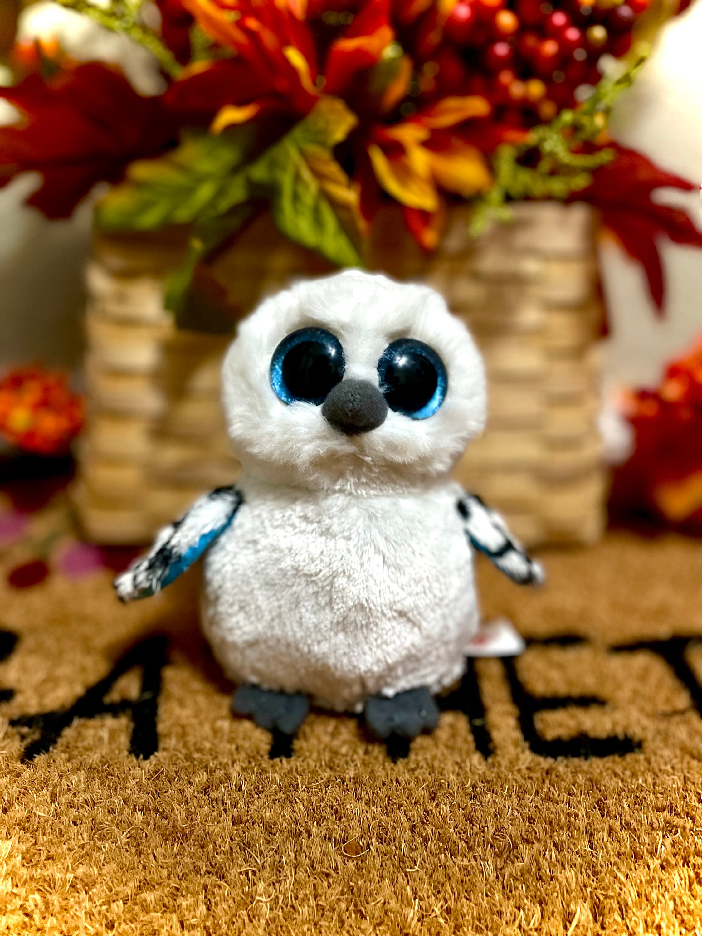 BUNDLE Swoops and Spells Owl Ty Beanie Boos - Etsy