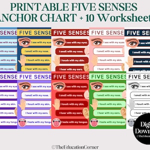 Printable Five Senses Anchor Charts + 10 Worksheets! | DIGITAL DOWNLOAD ...