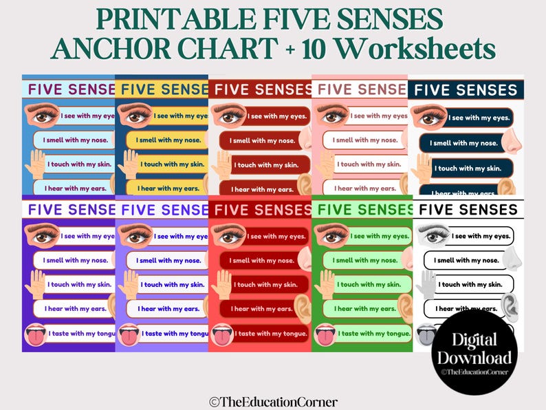 Printable Five Senses Anchor Charts + 10 Worksheets! | DIGITAL DOWNLOAD ...