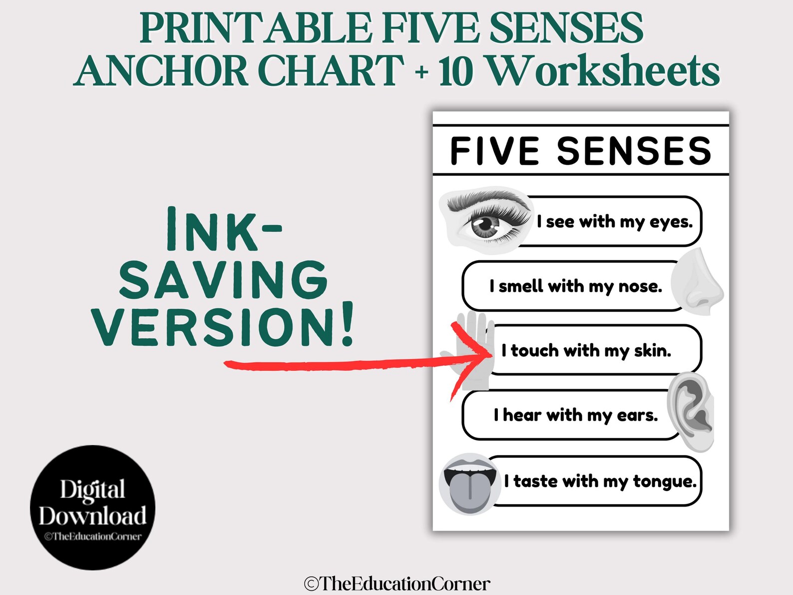 Printable Five Senses Anchor Charts + 10 Worksheets! | DIGITAL DOWNLOAD ...