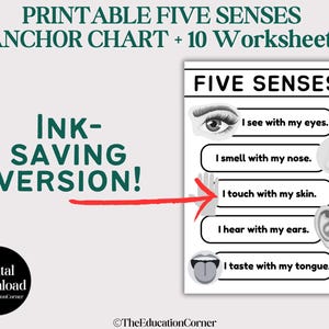 Printable Five Senses Anchor Charts + 10 Worksheets! | DIGITAL DOWNLOAD ...
