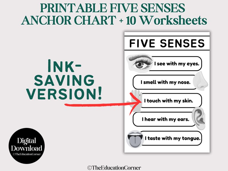 Printable Five Senses Anchor Charts + 10 Worksheets! | DIGITAL DOWNLOAD ...