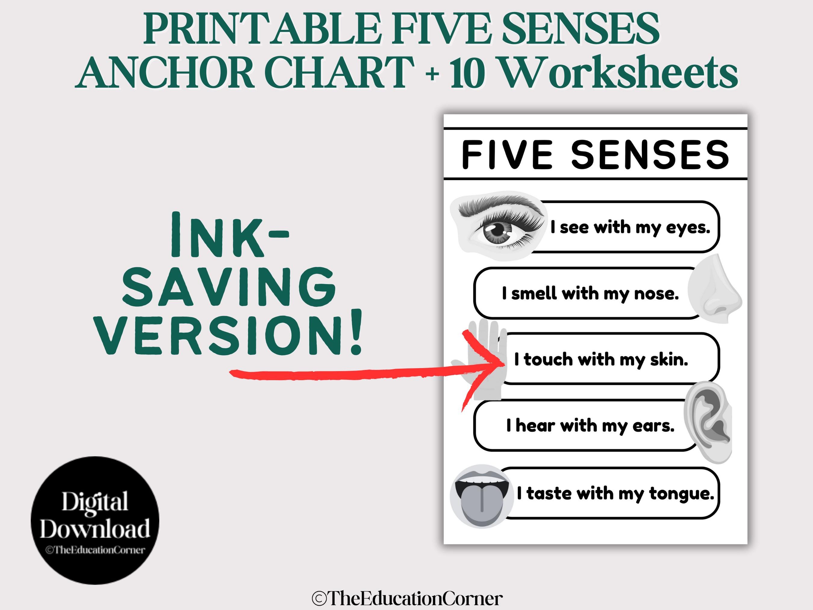 Printable Five Senses Anchor Charts + 10 Worksheets! | DIGITAL DOWNLOAD ...