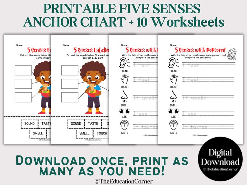 Printable Five Senses Anchor Charts + 10 Worksheets! | DIGITAL DOWNLOAD ...