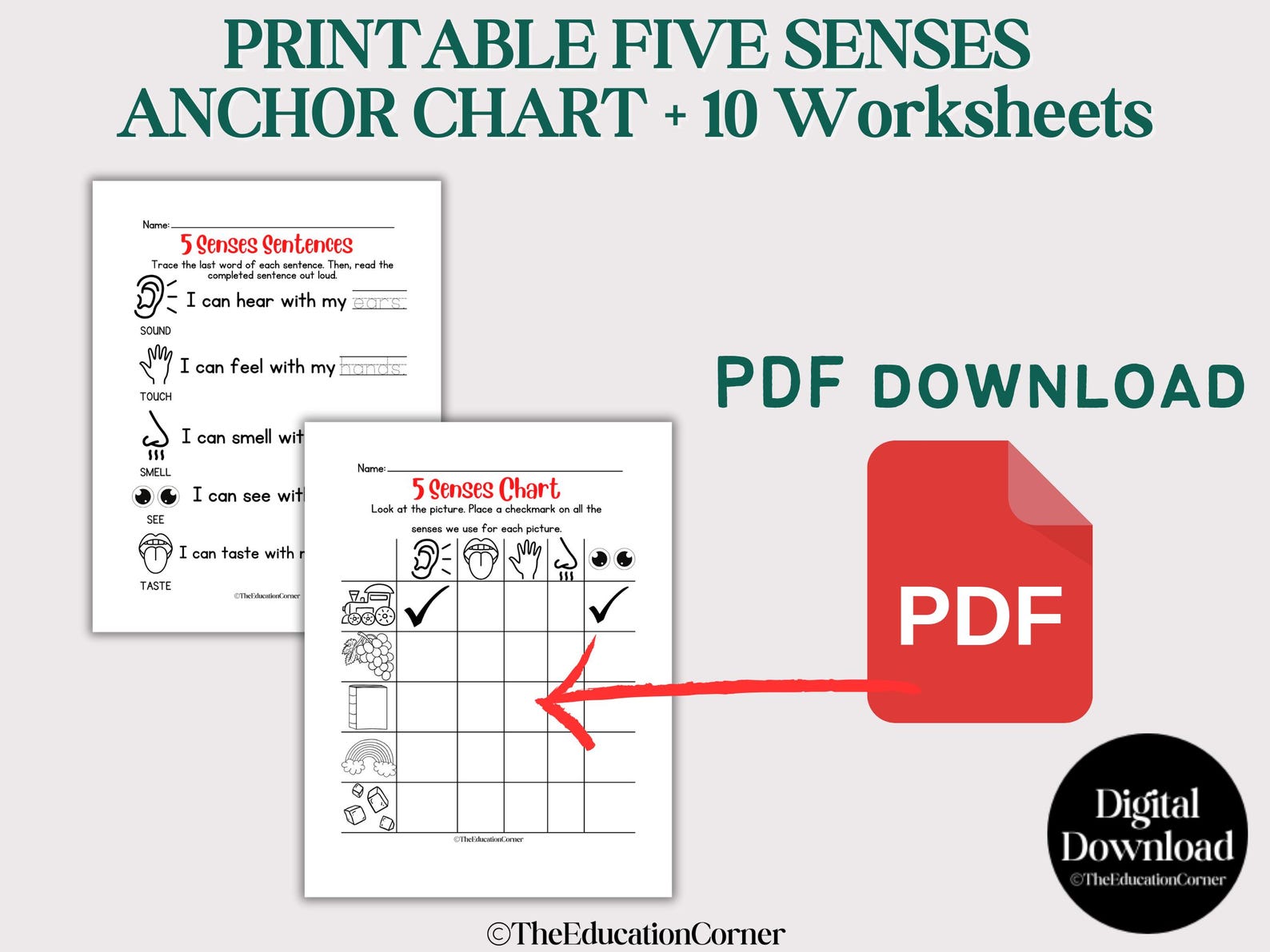 Printable Five Senses Anchor Charts + 10 Worksheets! | DIGITAL DOWNLOAD ...