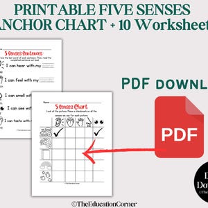 Printable Five Senses Anchor Charts + 10 Worksheets! | DIGITAL DOWNLOAD ...