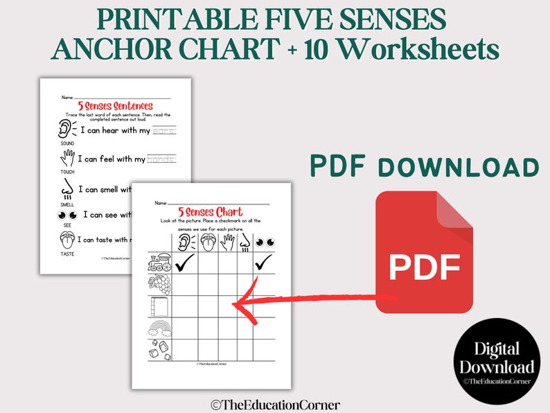 Printable Five Senses Anchor Charts + 10 Worksheets! | DIGITAL DOWNLOAD ...
