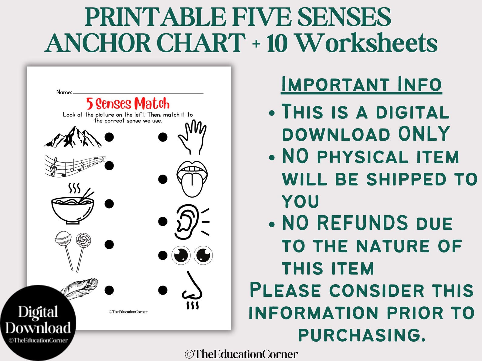 Printable Five Senses Anchor Charts + 10 Worksheets! | DIGITAL DOWNLOAD ...