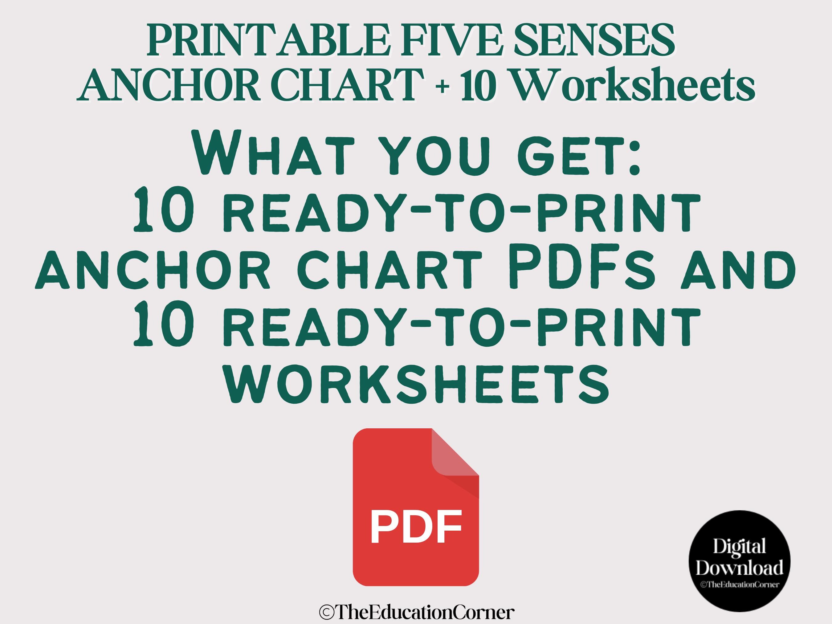 Five Senses Anchor Charts & Worksheets: Elementary/esl (PDF) - Etsy