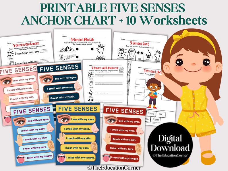 Printable Five Senses Anchor Charts + 10 Worksheets! | DIGITAL DOWNLOAD ...