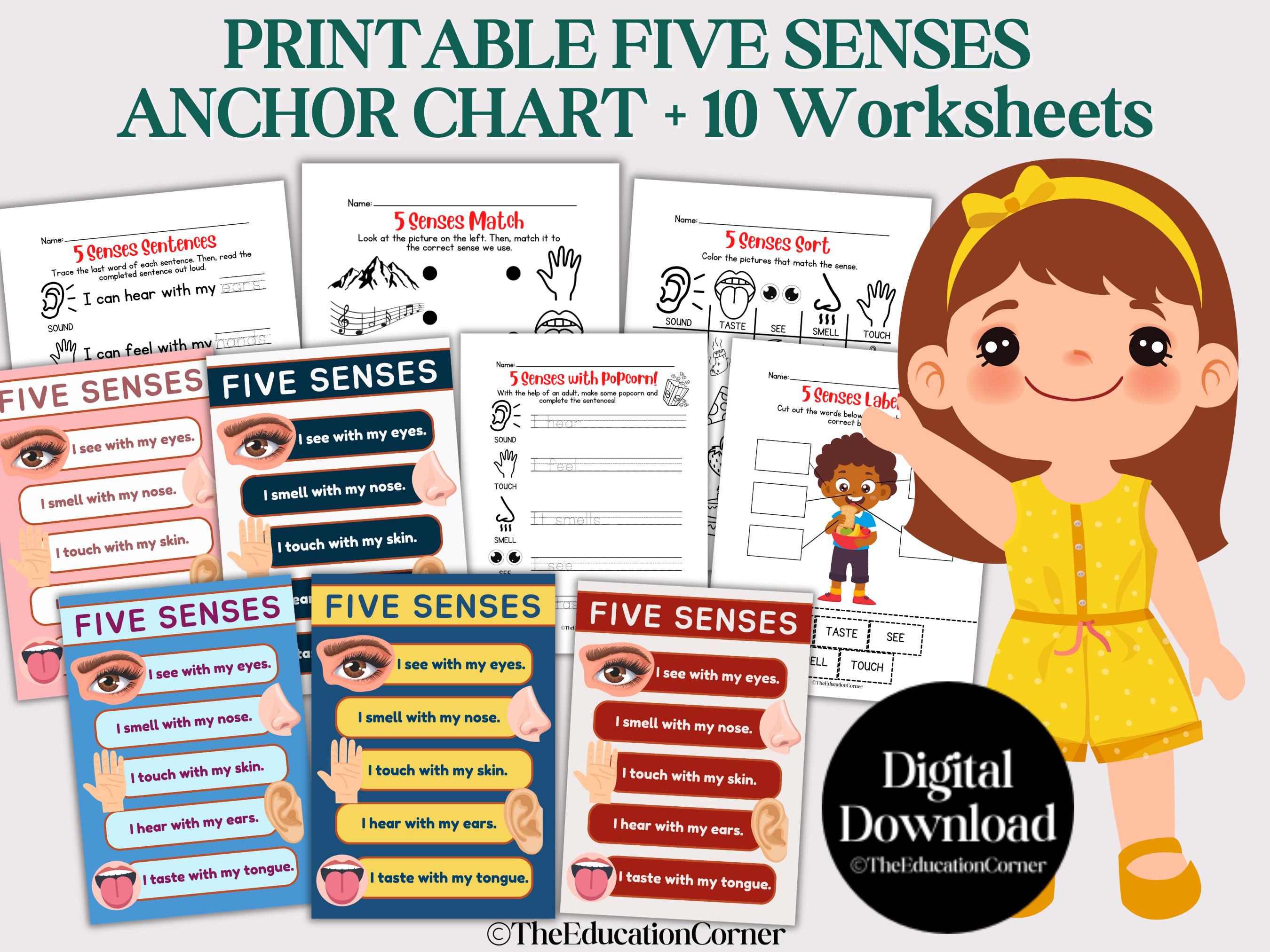 Printable Five Senses Anchor Charts + 10 Worksheets! | DIGITAL DOWNLOAD ...
