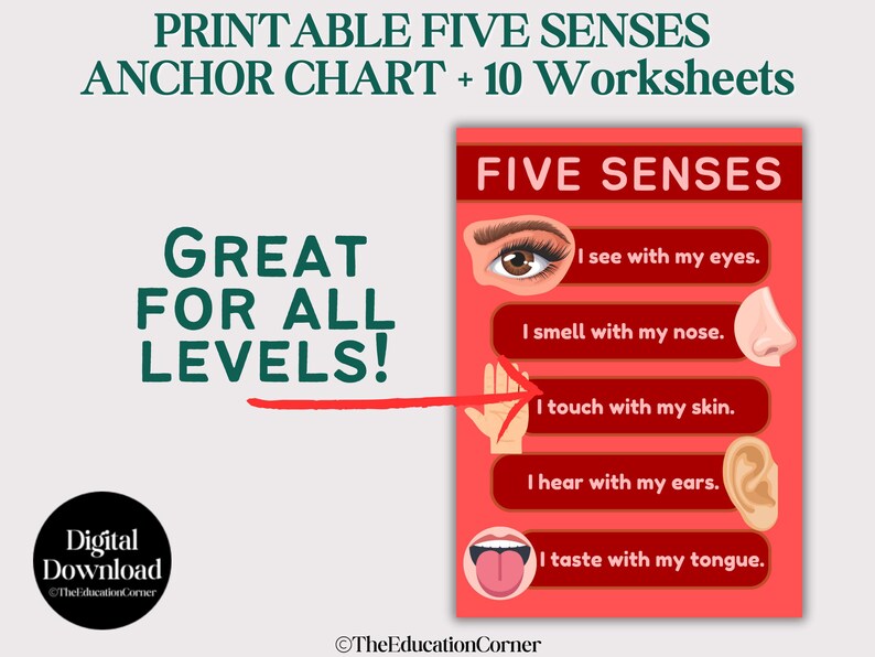 Printable Five Senses Anchor Charts + 10 Worksheets! | DIGITAL DOWNLOAD ...