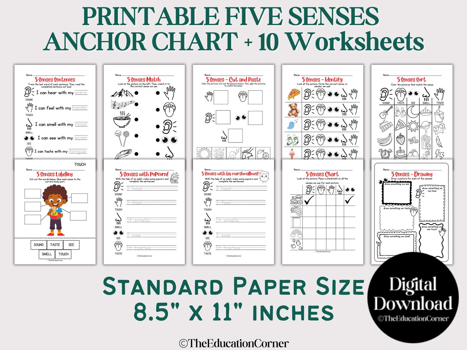 Printable Five Senses Anchor Charts + 10 Worksheets! | DIGITAL DOWNLOAD ...
