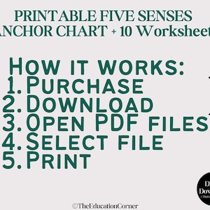 Printable Five Senses Anchor Charts + 10 Worksheets! | DIGITAL DOWNLOAD ...