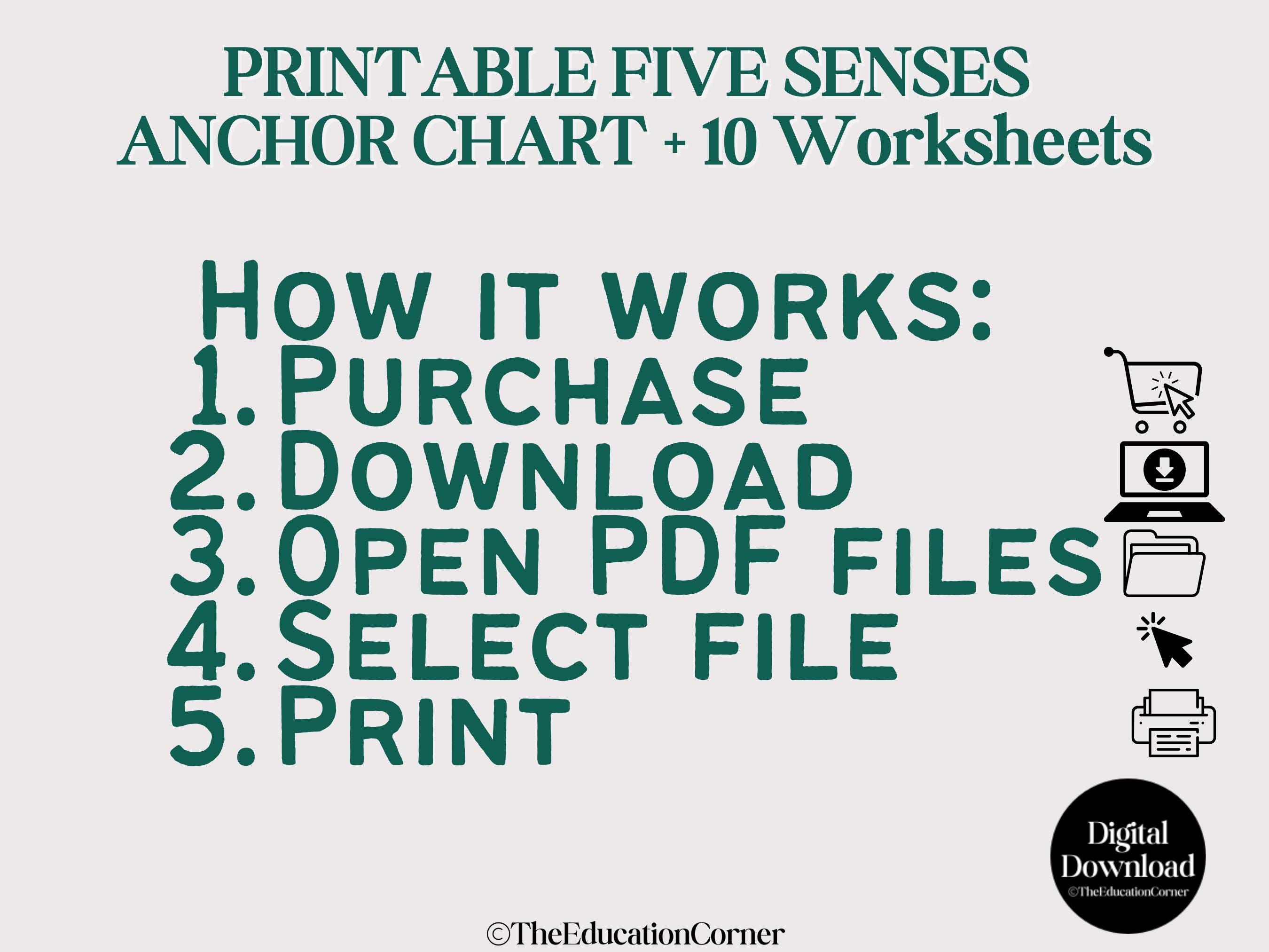 Five Senses Anchor Charts & Worksheets: Elementary/esl (PDF) - Etsy