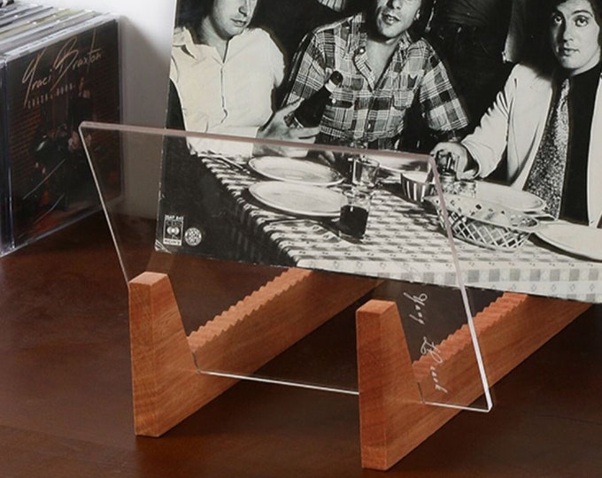 Customizable Wooden Vinyl Record Storage, Vinyl Storage Holds 22 Vinyls ...