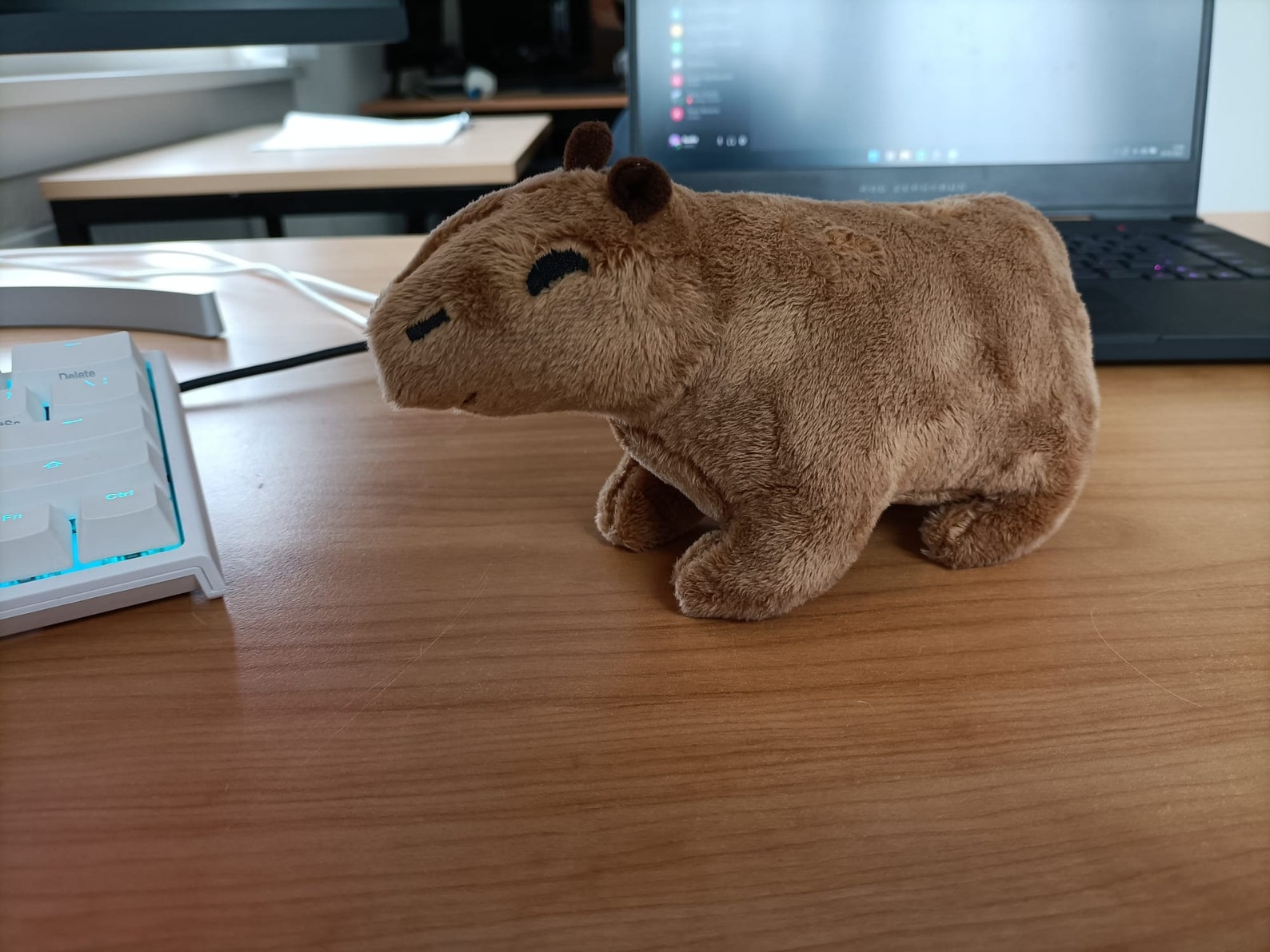 Capybara Plush Capybara Plush Capybara Capybara Capybara Plush 20cm - Etsy