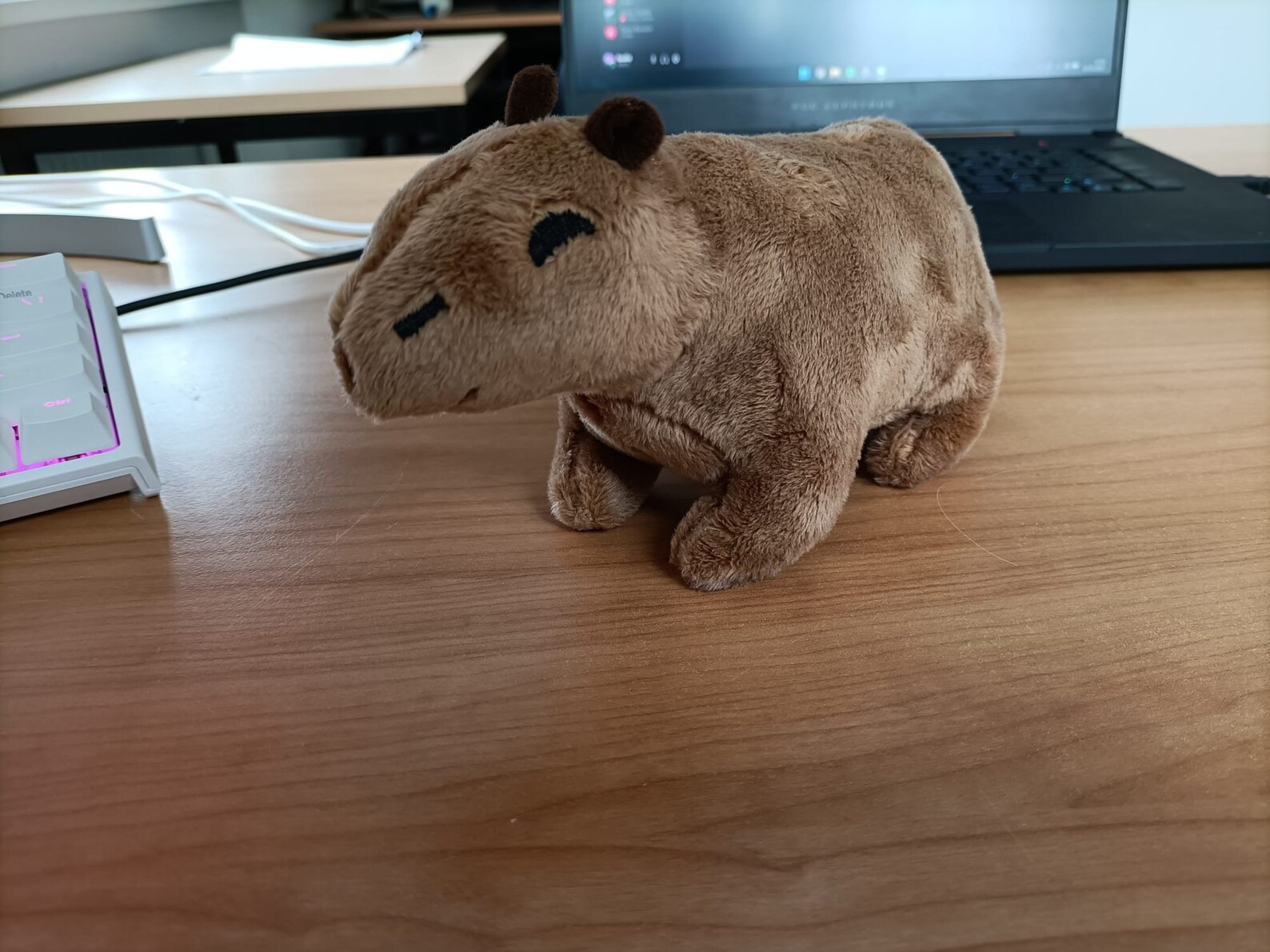 Capybara Plush Capybara Plush Capybara Capybara Capybara Plush 20cm - Etsy