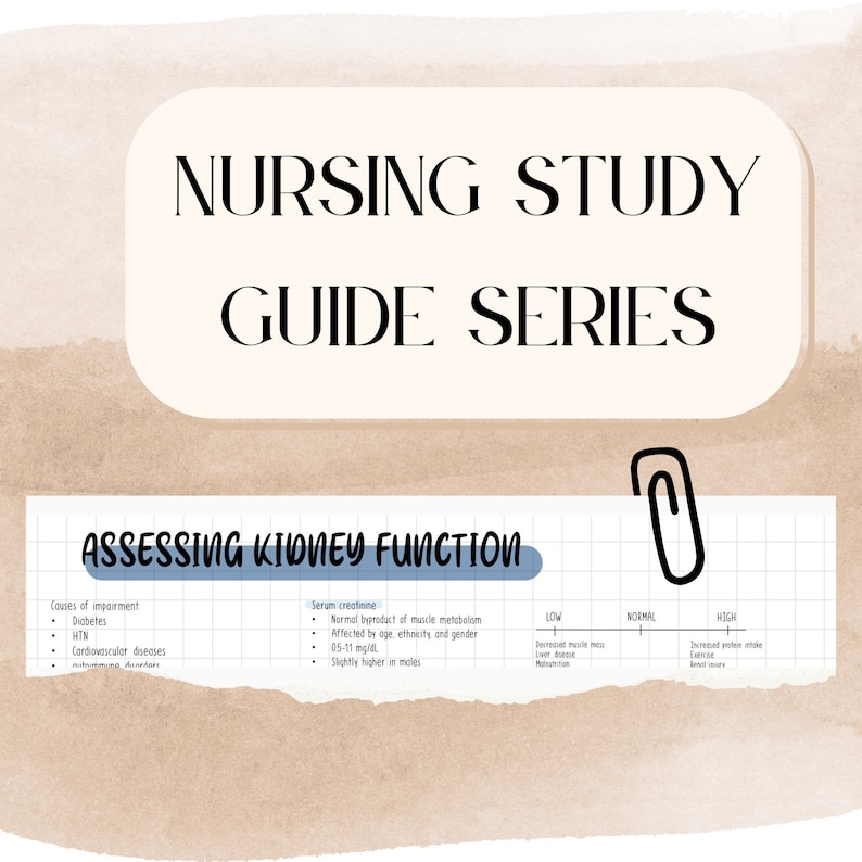 Nursing Printable Study Guides Kidney Function Print - Etsy