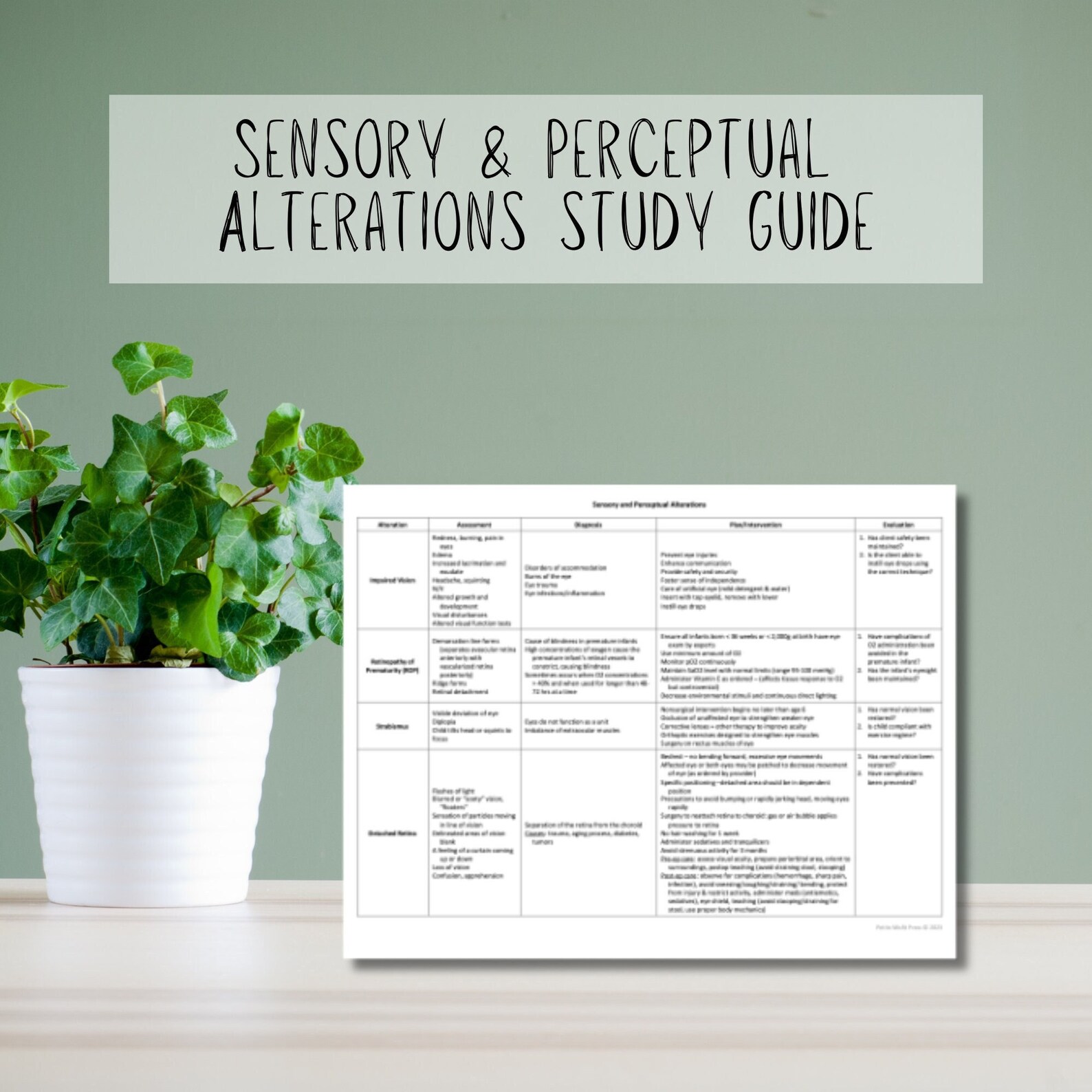Sensory & Perceptual Alterations Study Guide | Nursing School Medical ...