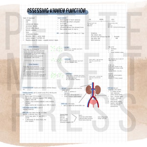 Nursing Printable Study Guides - Kidney Function | Print Downloadable ...