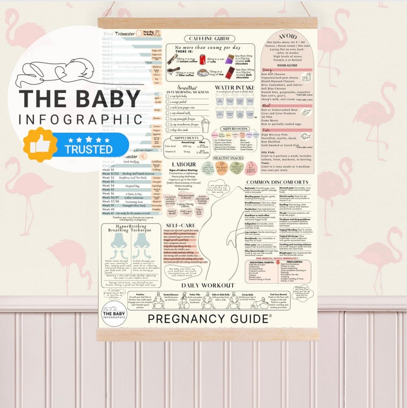 Pregnancy Care Guide © Printed Poster TRUSTED Maternity Parent to Be ...