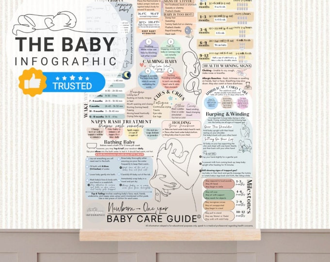 Baby's First Year Infographic Digital Poster - Etsy