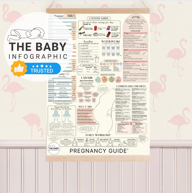 Reversible Ultimate Baby Care & Pregnancy Guide BUNDLE With Frame ...