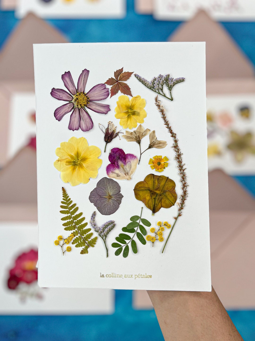 Postcard Mini Herbarium - Etsy