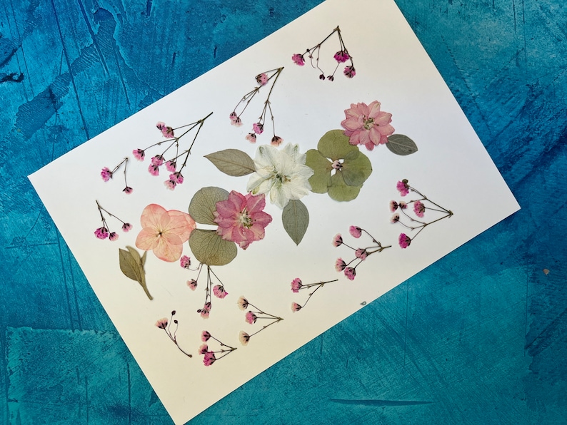 Postcard Mini Herbarium - Etsy