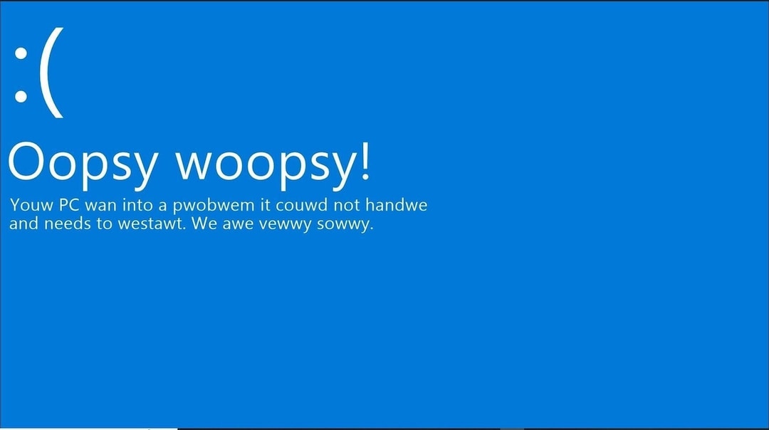 Oopsy Woopsy Funny Blue Screen of Death Inspired by A Hat in - Etsy