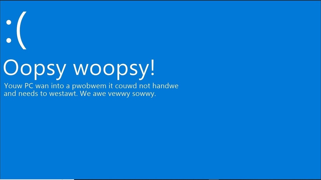 Oopsy Woopsy Funny Blue Screen of Death Inspired by A Hat in Time - Etsy