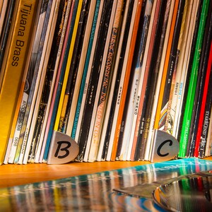Organizing System for Music Archives - CD Vinyl Records Book Dividers ...
