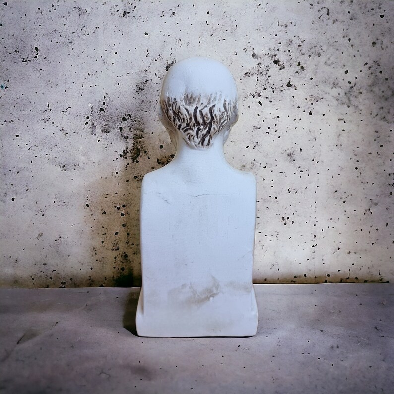 Collectible Ancient Greek Philosopher Busts Aristotle, Pythagoras ...