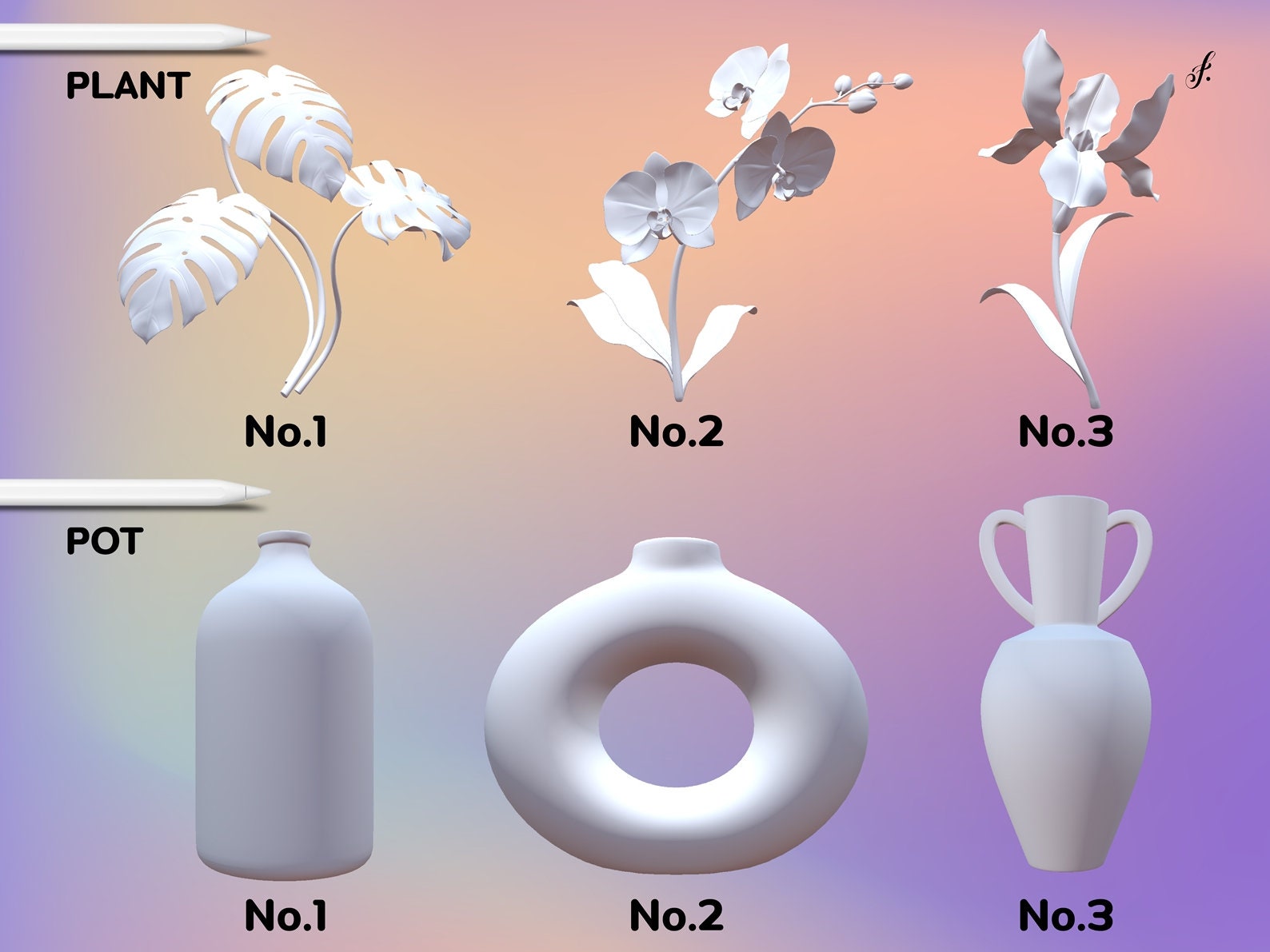 3D Procreate Models 8 Botanical and Decor Models 3D - Etsy