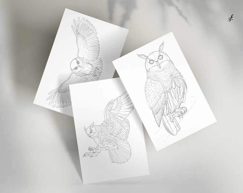 Procreate Owl Stamp | 3 Template Procreate Brushes | Procreate Stamp ...