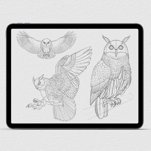 Procreate Owl Stamp | 3 Template Procreate Brushes | Procreate Stamp ...