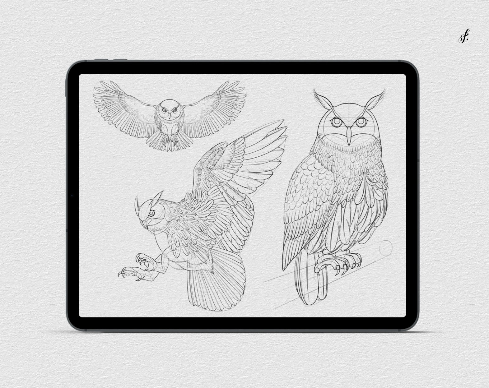 Procreate Owl Stamp | 3 Template Procreate Brushes | Procreate Stamp ...
