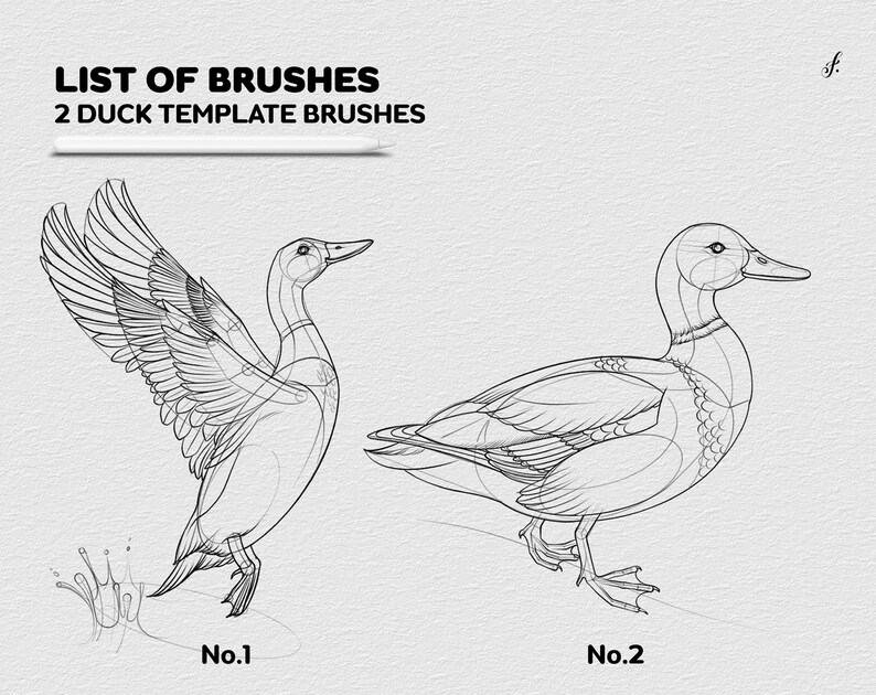 Procreate Duck Stamp 2 Template Procreate Brushes - Etsy