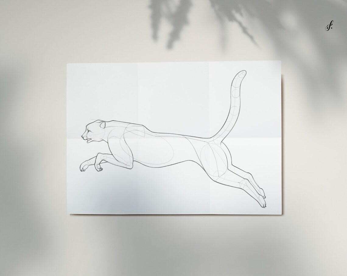 Procreate Cheetah Stamp | 4 Template Procreate Brushes | Stamp ...